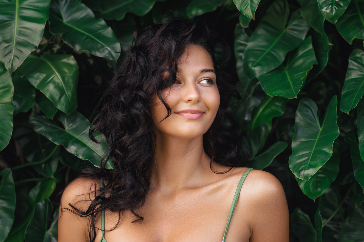 Welcome to Vimergy – VIMERGY US